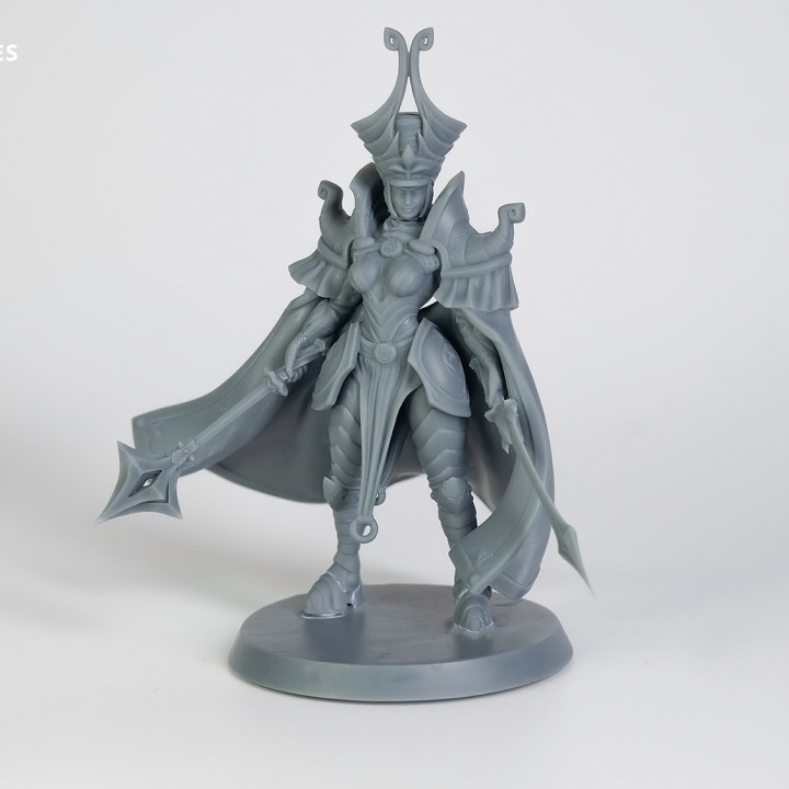 3D Printable Sanctum Guardian Pose 1 - 2 Variants + Pinup by PSMiniatures