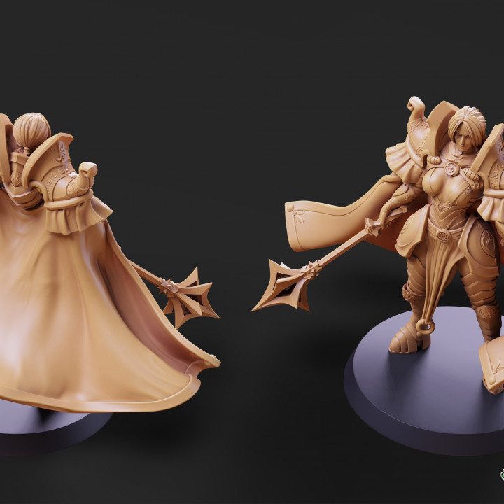 3D Printable Sanctum Guardian Pose 1 - 2 Variants + Pinup by PSMiniatures