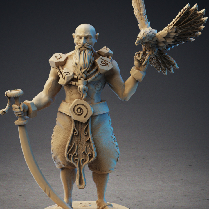 3D Printable Druid Human by Pes Lukas