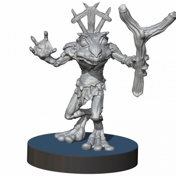 3D Printable Frog Shaman and Companion by Dark-Platypus Studio