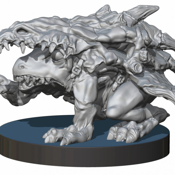 3D Printable Frog Shaman and Companion by Dark-Platypus Studio