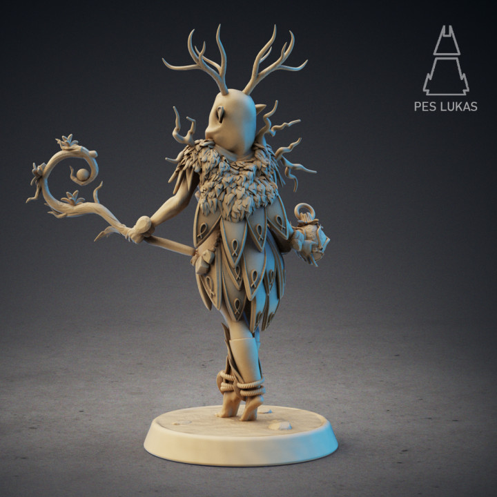 3D Printable Druid Elf by Pes Lukas