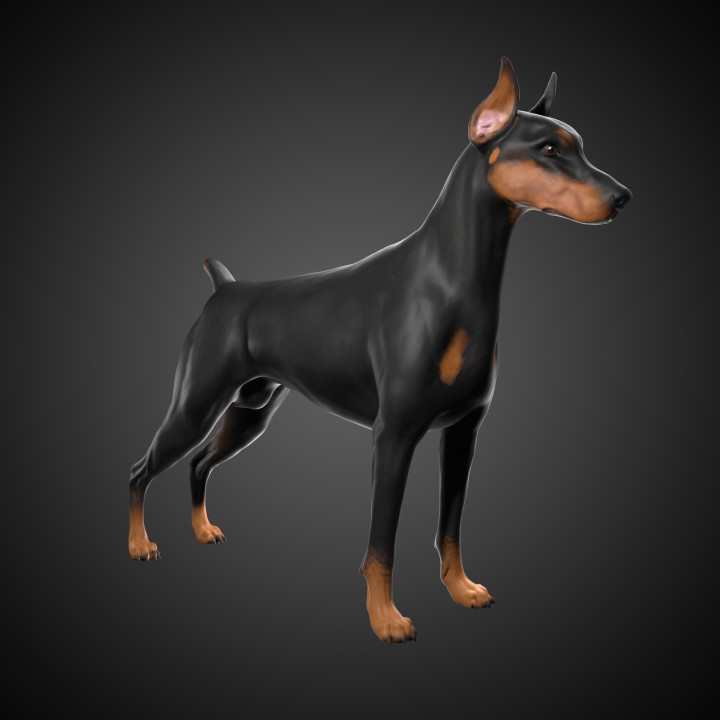 3D Printable Doberman by Animals & Creatures Minis