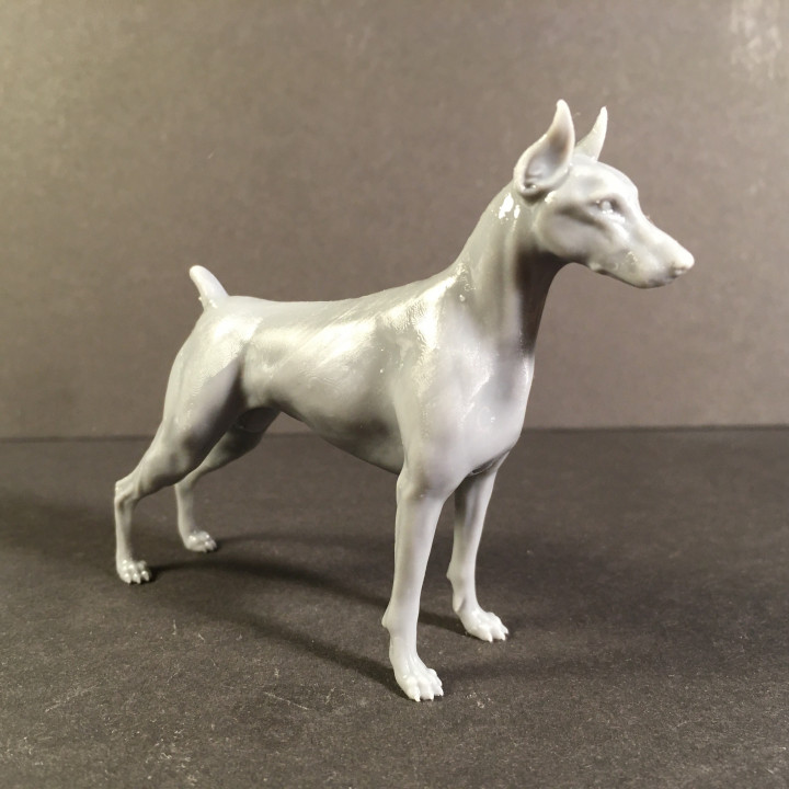 3D Printable Doberman by Animals & Creatures Minis