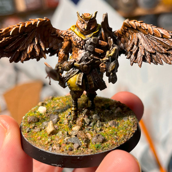 3D Print of Druid Owlin by mjhsinclair