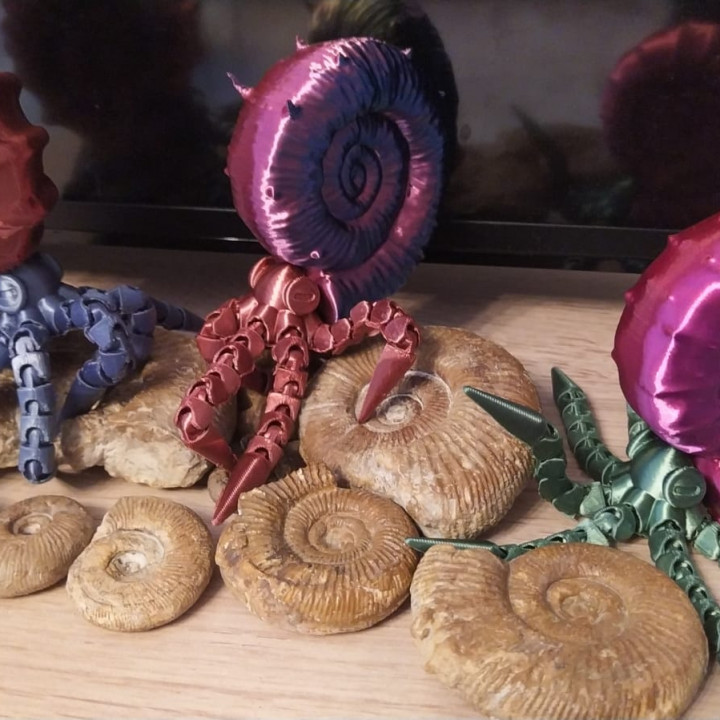 3D Printable New articulated ammonite (shell, head and tentacles ...