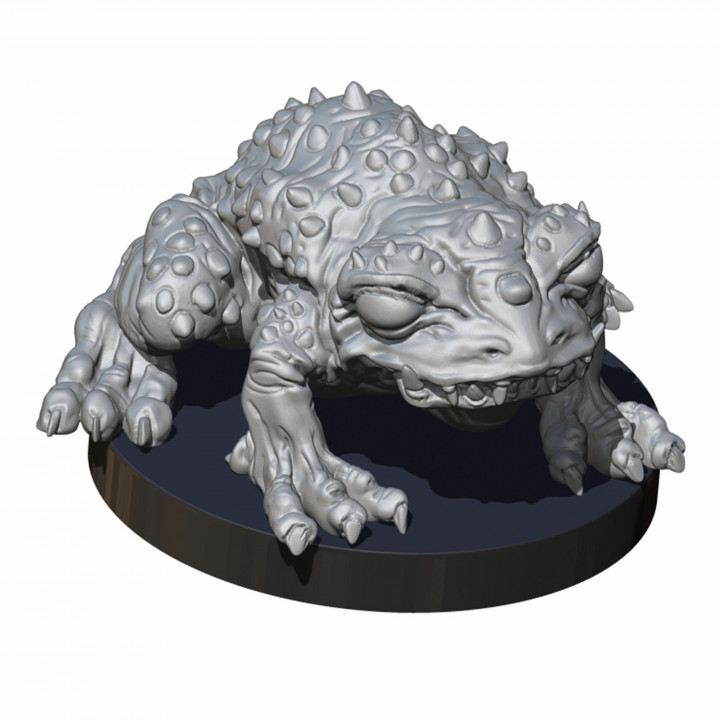 3D Printable Giant Frogs by Dark-Platypus Studio