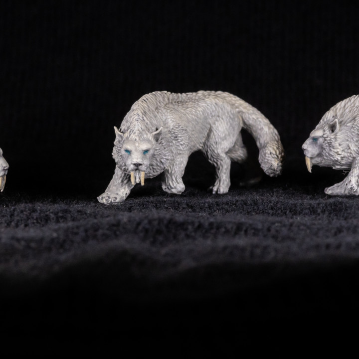 3D Print of Crag Cat - Tabletop Miniature (Pre-Supported) by tracyjenkins2