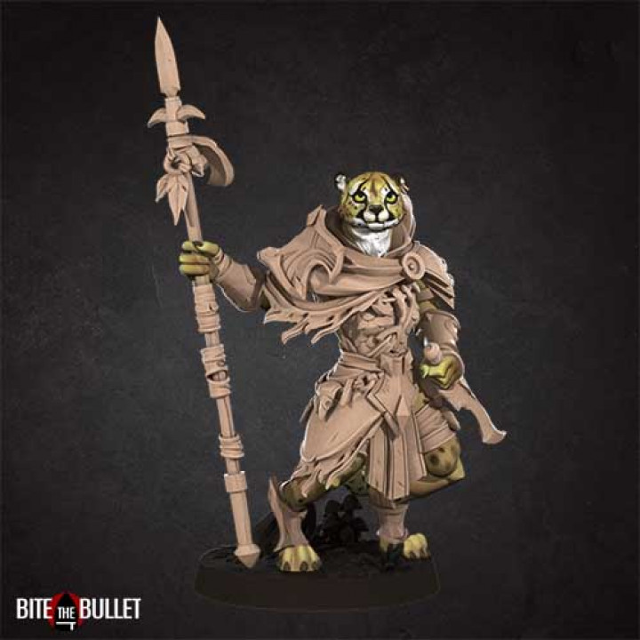 3D Printable Tabaxi Ranger by Bite the Bullet