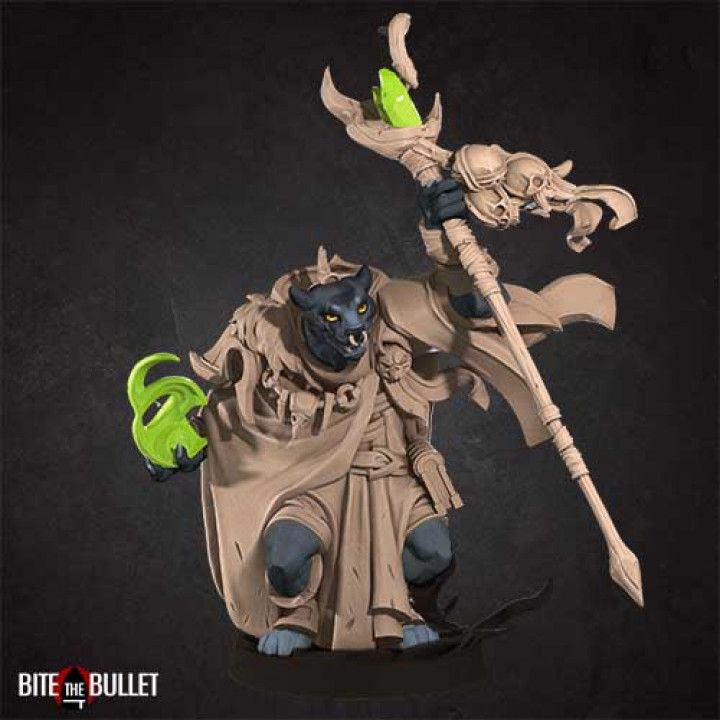 3D Printable Tabaxi Warlock by Bite the Bullet