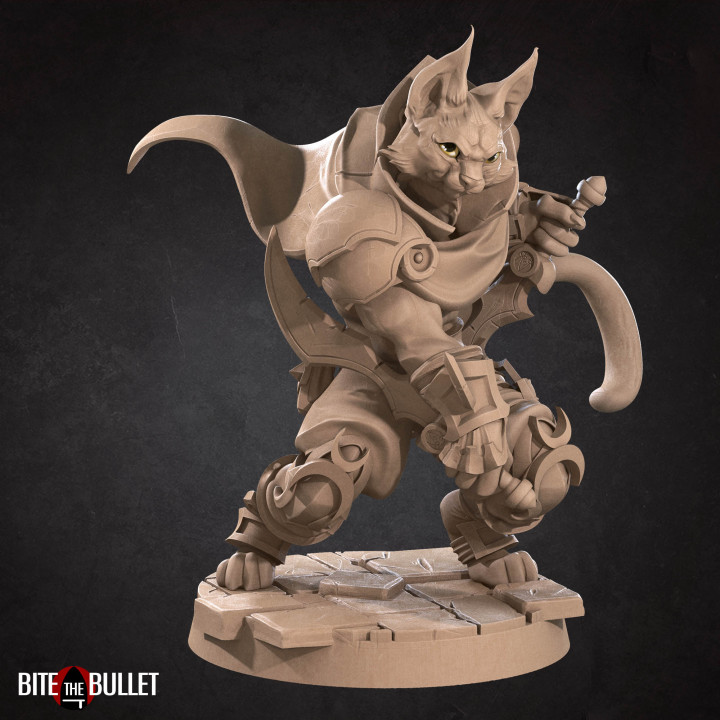 3D Printable Tabaxi Rogue by Bite the Bullet