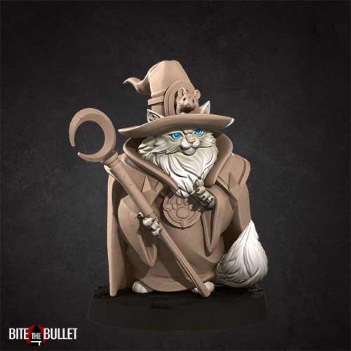 3D Printable Harry, the Cat Wizard by Bite the Bullet
