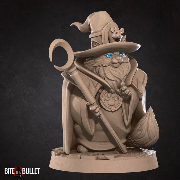 3D Printable Harry, the Cat Wizard by Bite the Bullet