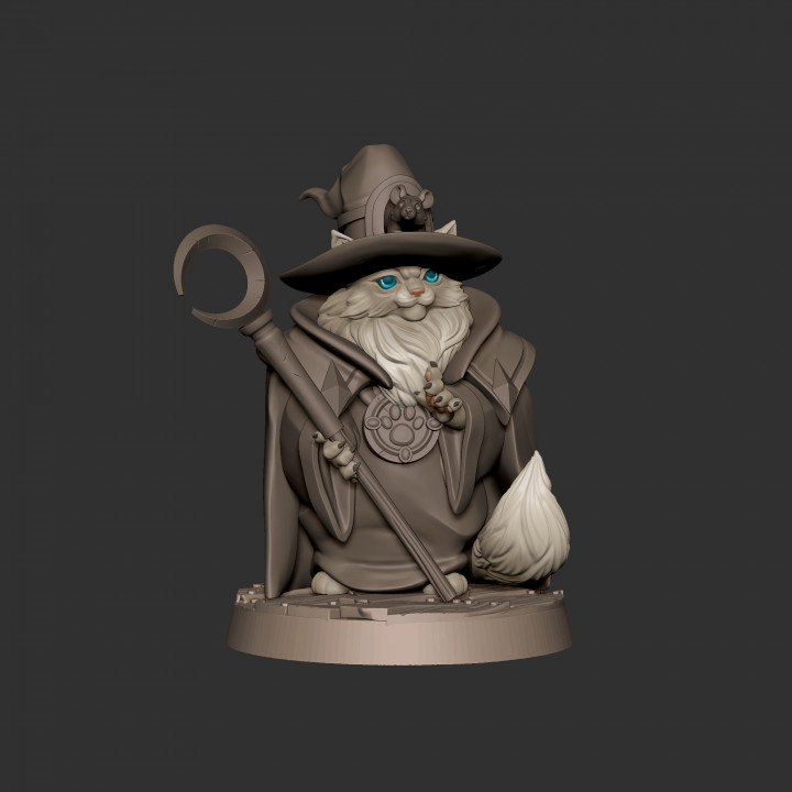 3D Printable Harry, the Cat Wizard by Bite the Bullet