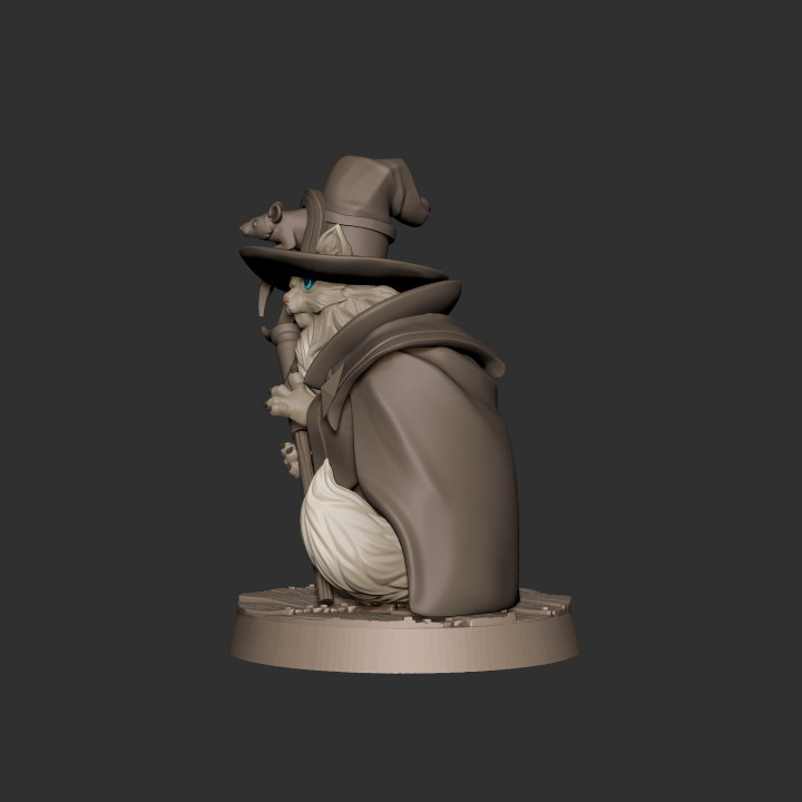 3D Printable Harry, the Cat Wizard by Bite the Bullet