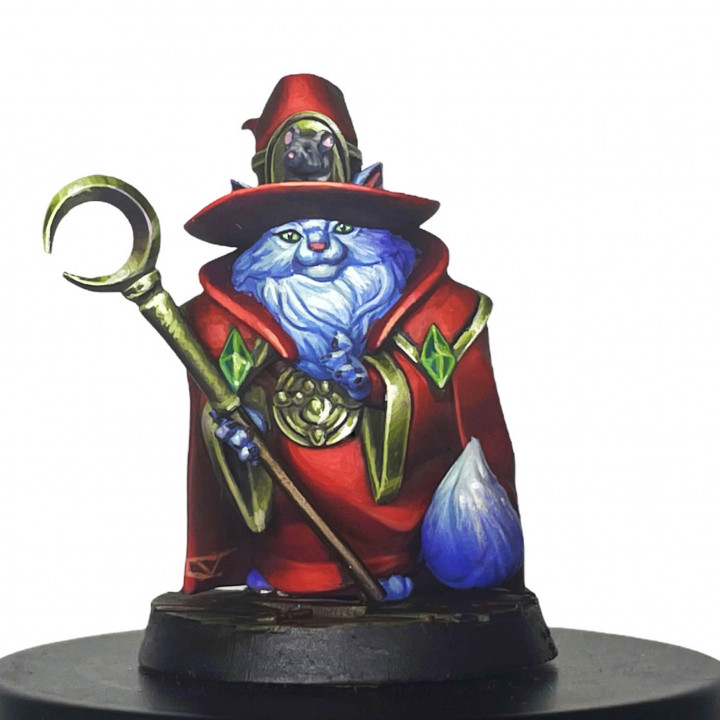 3D Printable Harry, the Cat Wizard by Bite the Bullet