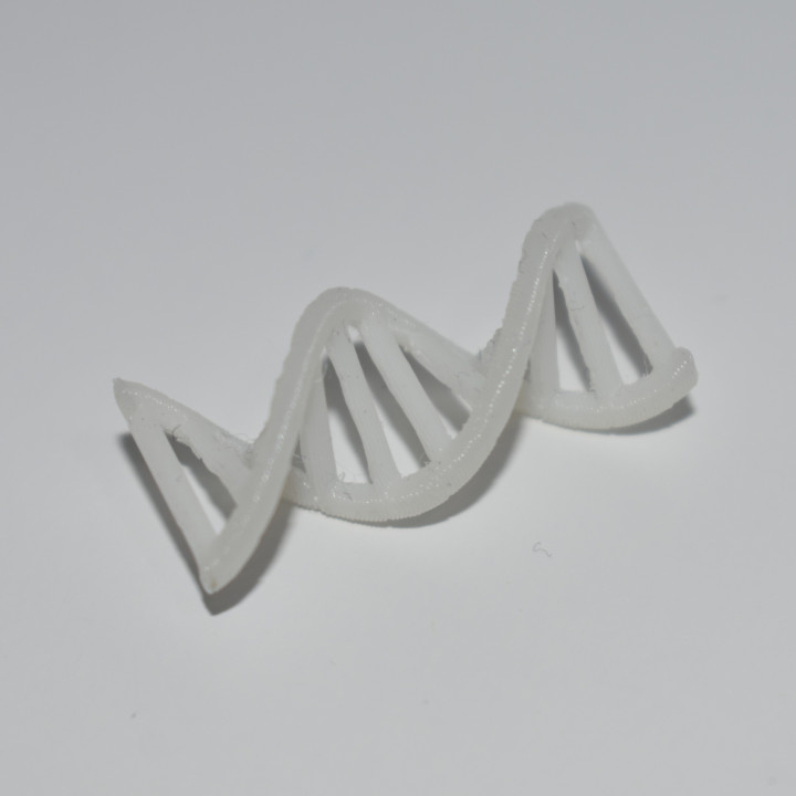 3D Printable DNA inspired charm by galbleier