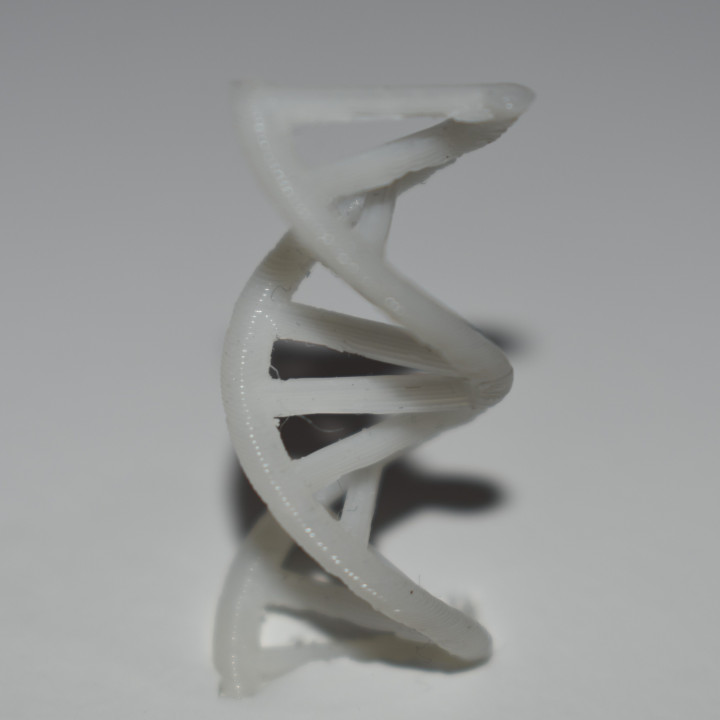 3D Printable DNA inspired charm by galbleier