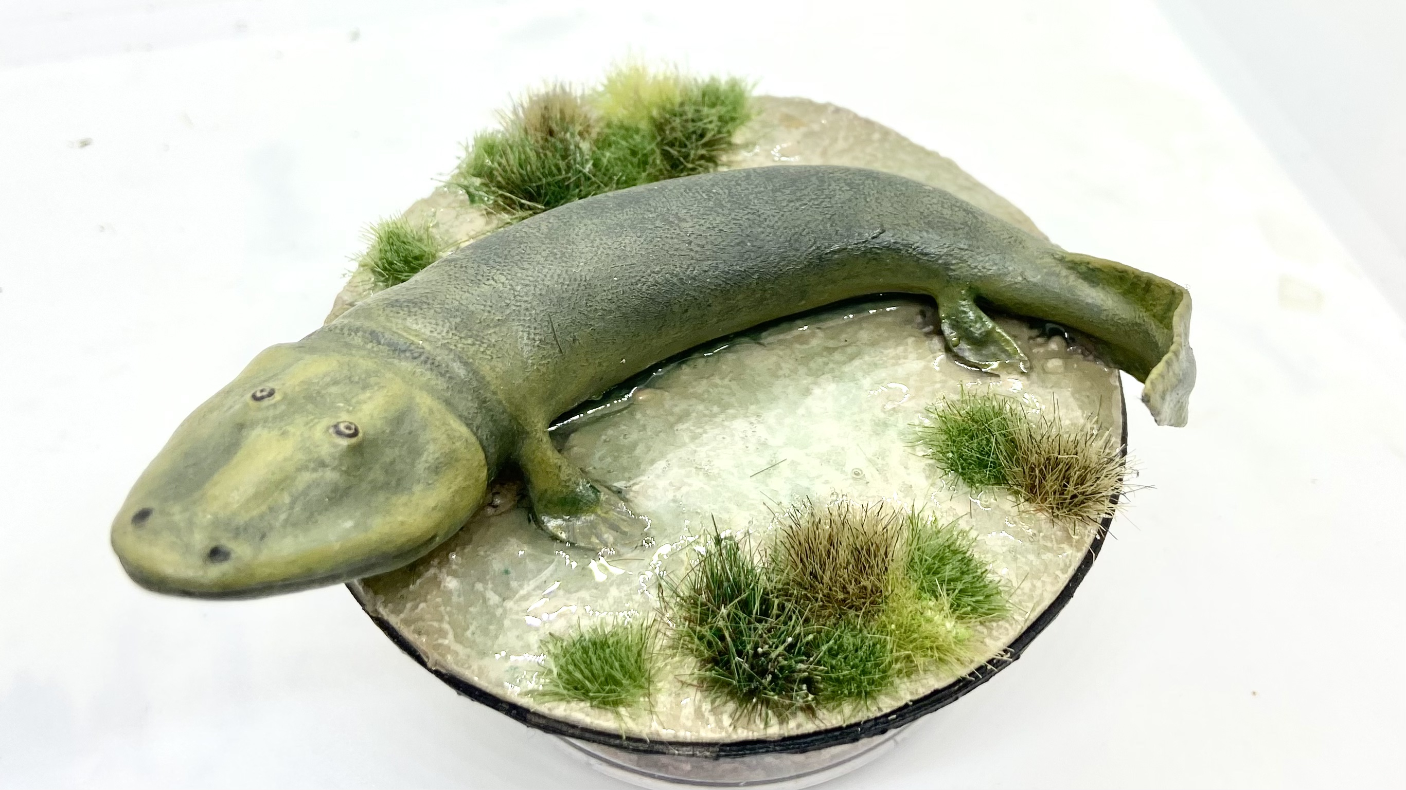 3D Printable Tiktaalik roseae : The First Step by Miniature Museum