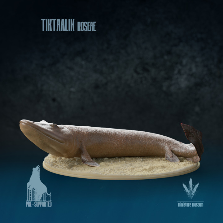 3D Printable Tiktaalik roseae : The First Step by Miniature Museum