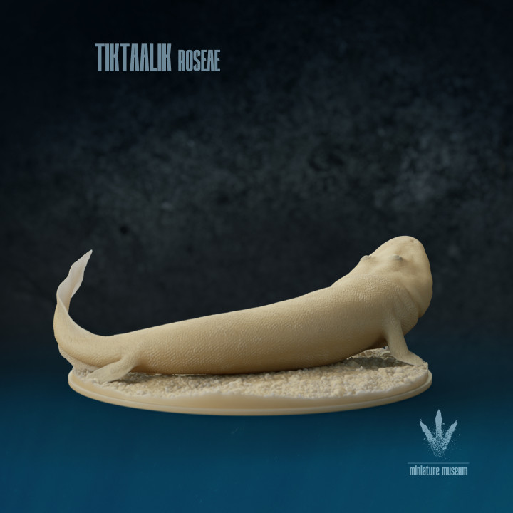 3D Printable Tiktaalik roseae : The First Step by Miniature Museum