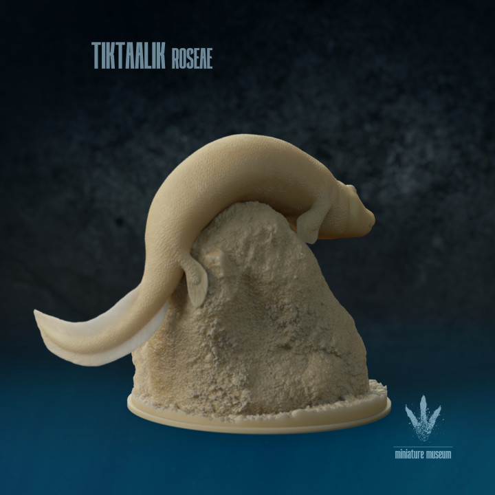 3D Printable Tiktaalik roseae : Climb by Miniature Museum