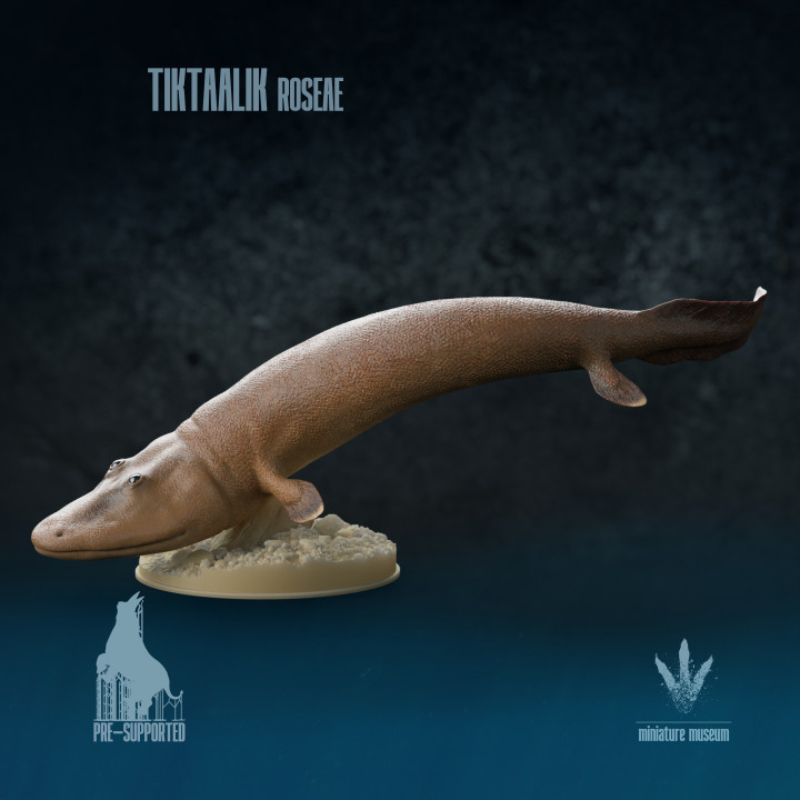 3D Printable Tiktaalik roseae : Swimming by Miniature Museum