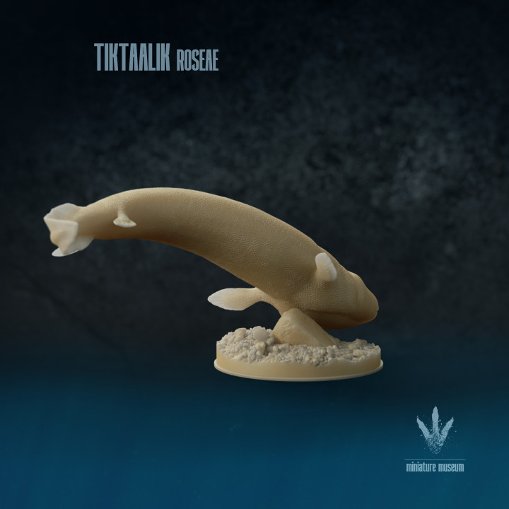 3D Printable Tiktaalik roseae : Swimming by Miniature Museum