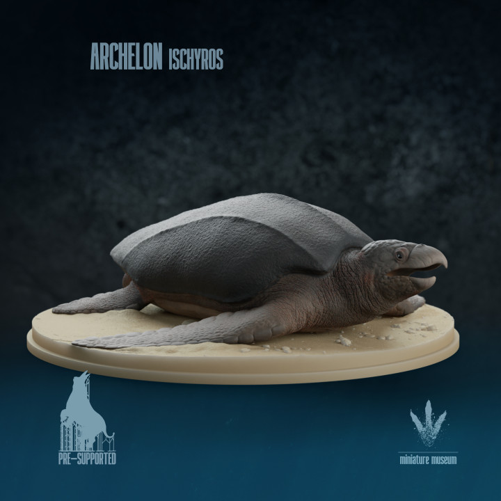 3D Printable Archelon ischyros : On the Beach by Miniature Museum