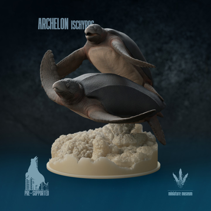 3D Printable Archelon ischyros : Swimming Giants by Miniature Museum
