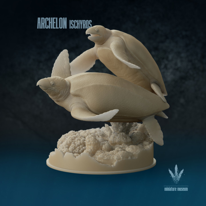 3D Printable Archelon ischyros : Swimming Giants by Miniature Museum
