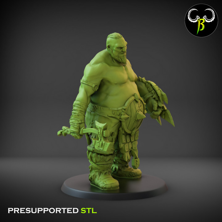 3D Printable Hunger Sons Shield SetB by ClayBeastCreation