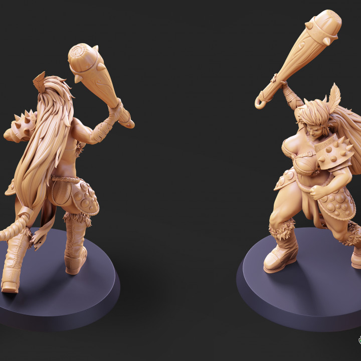 3D Printable Barbarian Battlemaster Bundle + Pinups by PSMiniatures