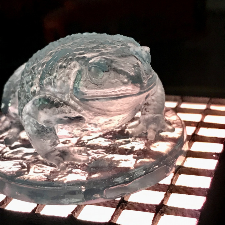 3D Print of Toad - Animal by yv3dprinterseverino