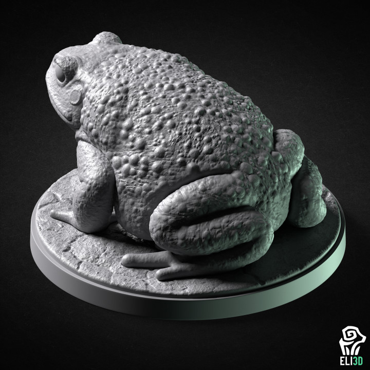3D Printable Toad - Animal by ELI 3D