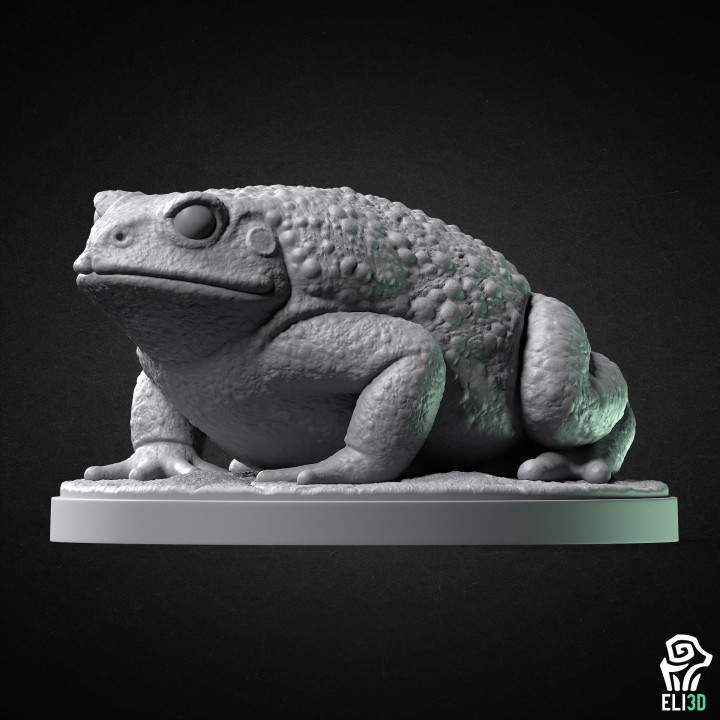 3D Printable Toad - Animal by ELI 3D