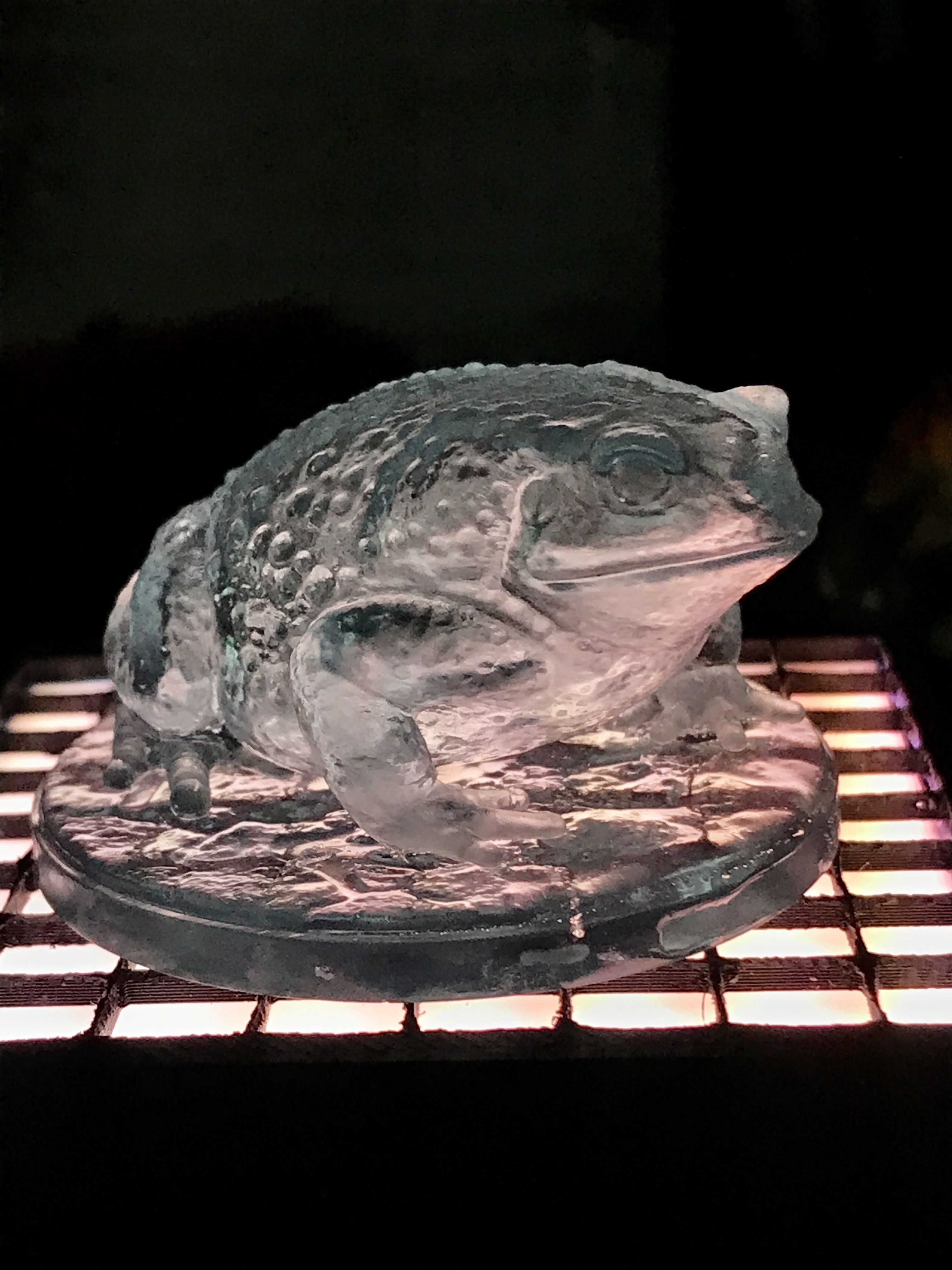 3D Printable Toad - Animal by ELI 3D