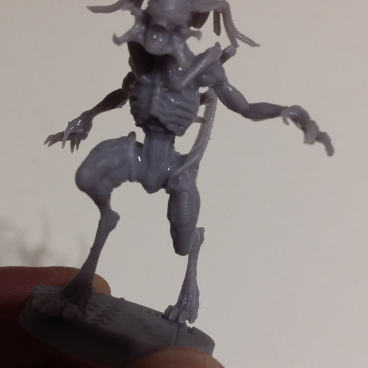 3D Printable Predalien by PostMortemNihiliEst