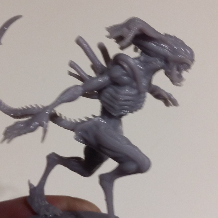 3D Printable Predalien by PostMortemNihiliEst