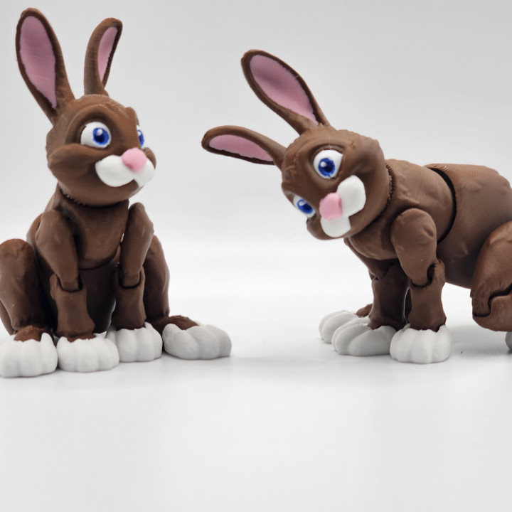 3D Print of Bunny Rabbit Articulated figure, Print-In-Place, Cute Flexi ...