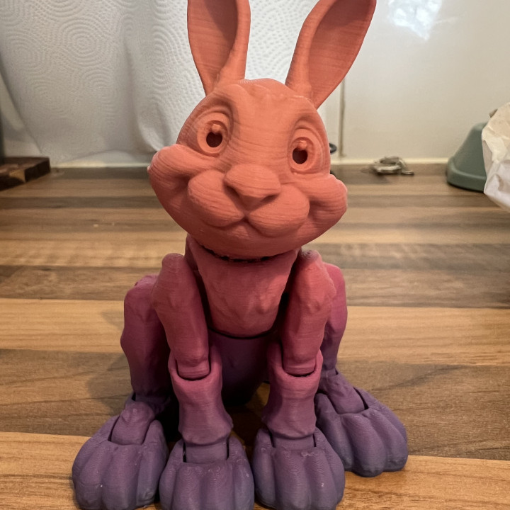 3D Print of Bunny Rabbit Articulated figure, Print-In-Place, Cute Flexi ...