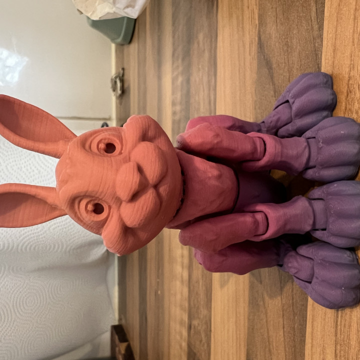 3D Print of Bunny Rabbit Articulated figure, Print-In-Place, Cute Flexi ...