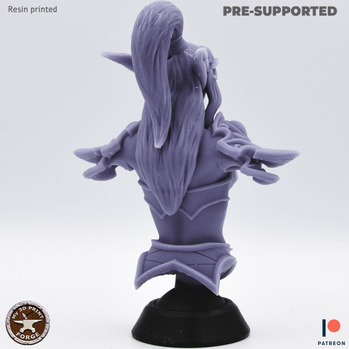 3D Printable Night Elf High Priestess Bust by My3DPrintForge