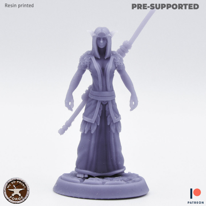3D Printable Night Elf Female Druid TWO MODELS by My3DPrintForge