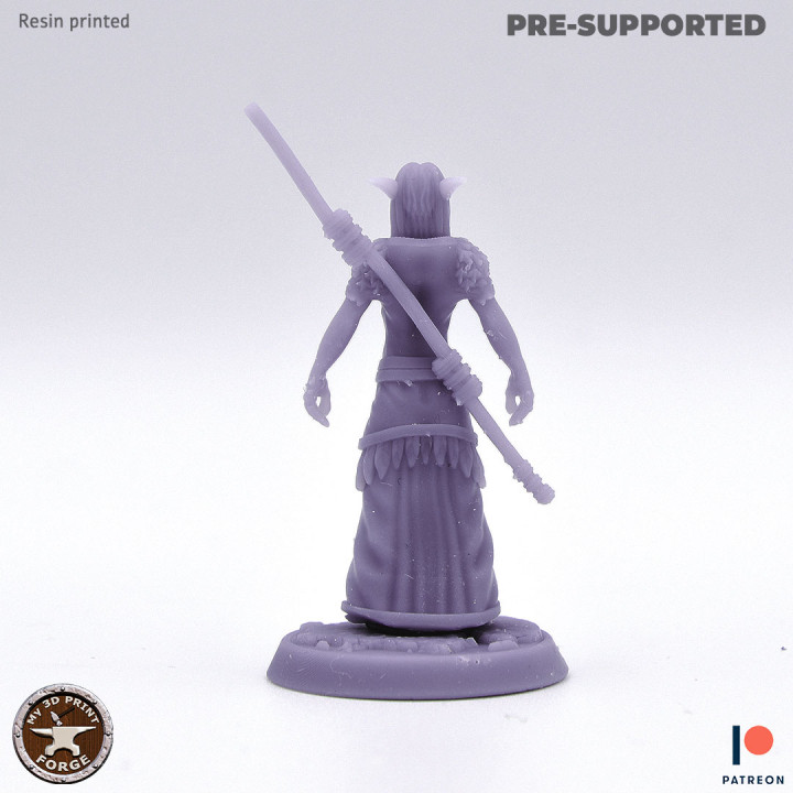 3D Printable Night Elf Female Druid TWO MODELS by My3DPrintForge