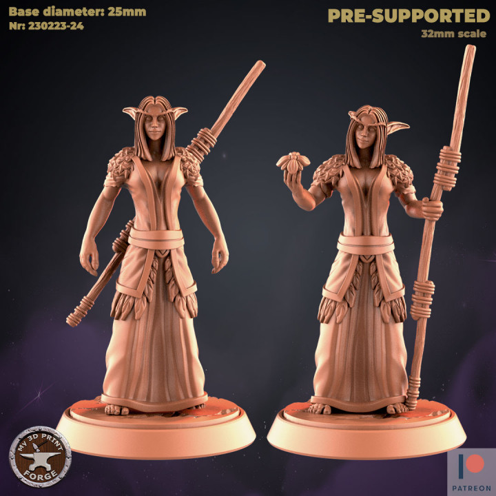3D Printable Night Elf Female Druid TWO MODELS by My3DPrintForge