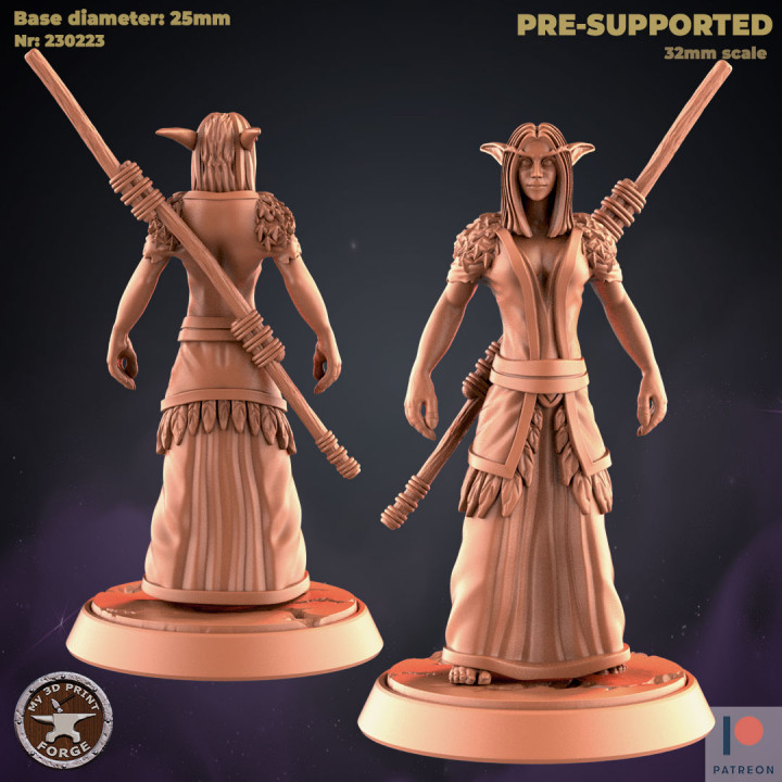 3D Printable Night Elf Female Druid TWO MODELS by My3DPrintForge