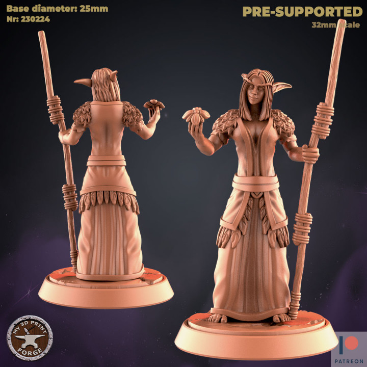 3D Printable Night Elf Female Druid TWO MODELS by My3DPrintForge