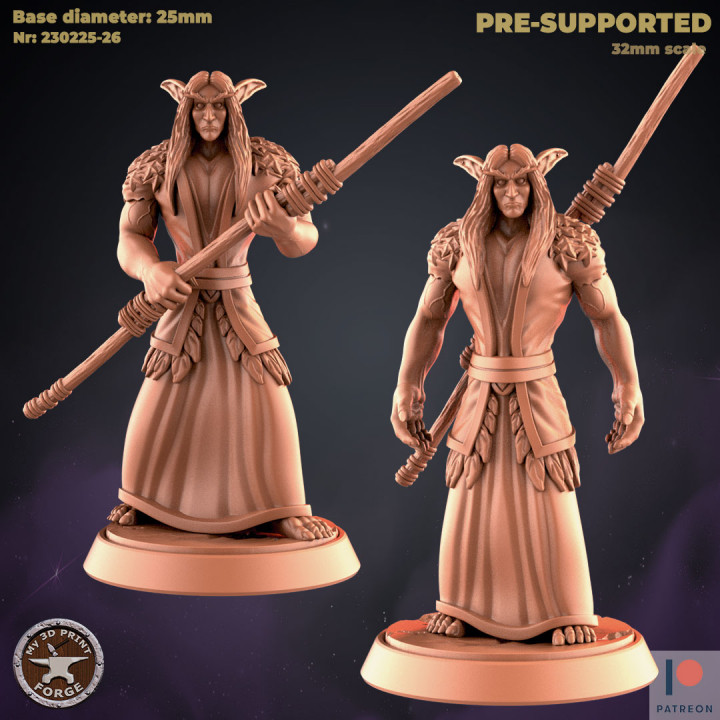 3D Printable Low Gear Elf Druid TWO MODELS by My3DPrintForge