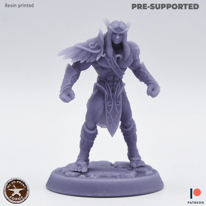 3D Printable Night Elves BUNDLE (31 Unique pre-supported STLs) by ...